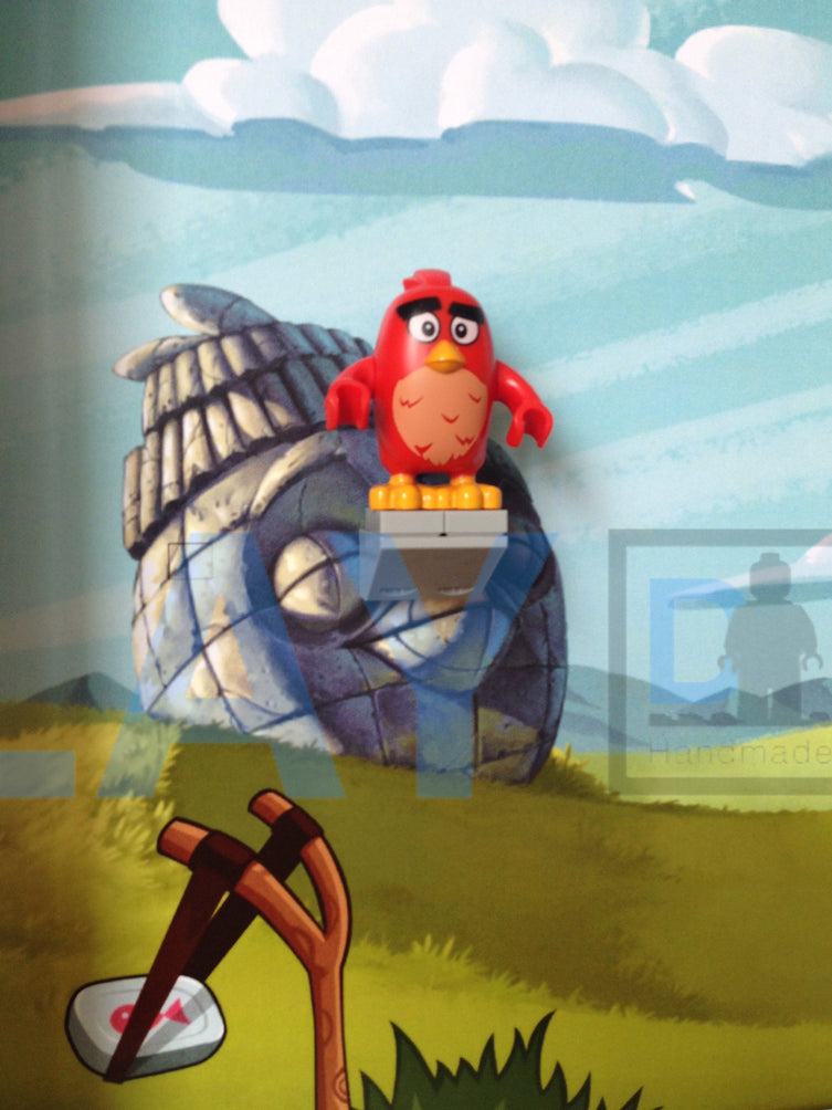 Display Frame for Angry Birds Minifigures (model 1) – Display Frames ...